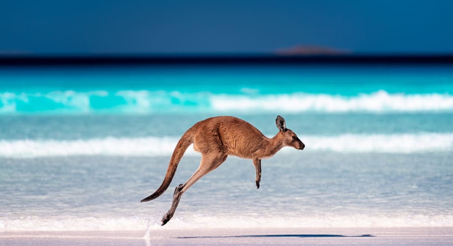 Best Beaches in Australia Worthy of the Spotlight | Minor Hotels