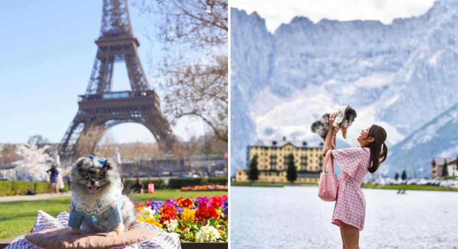 pet friendly holidays