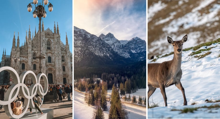 Guide to Traveller Types | Minor Hotels
